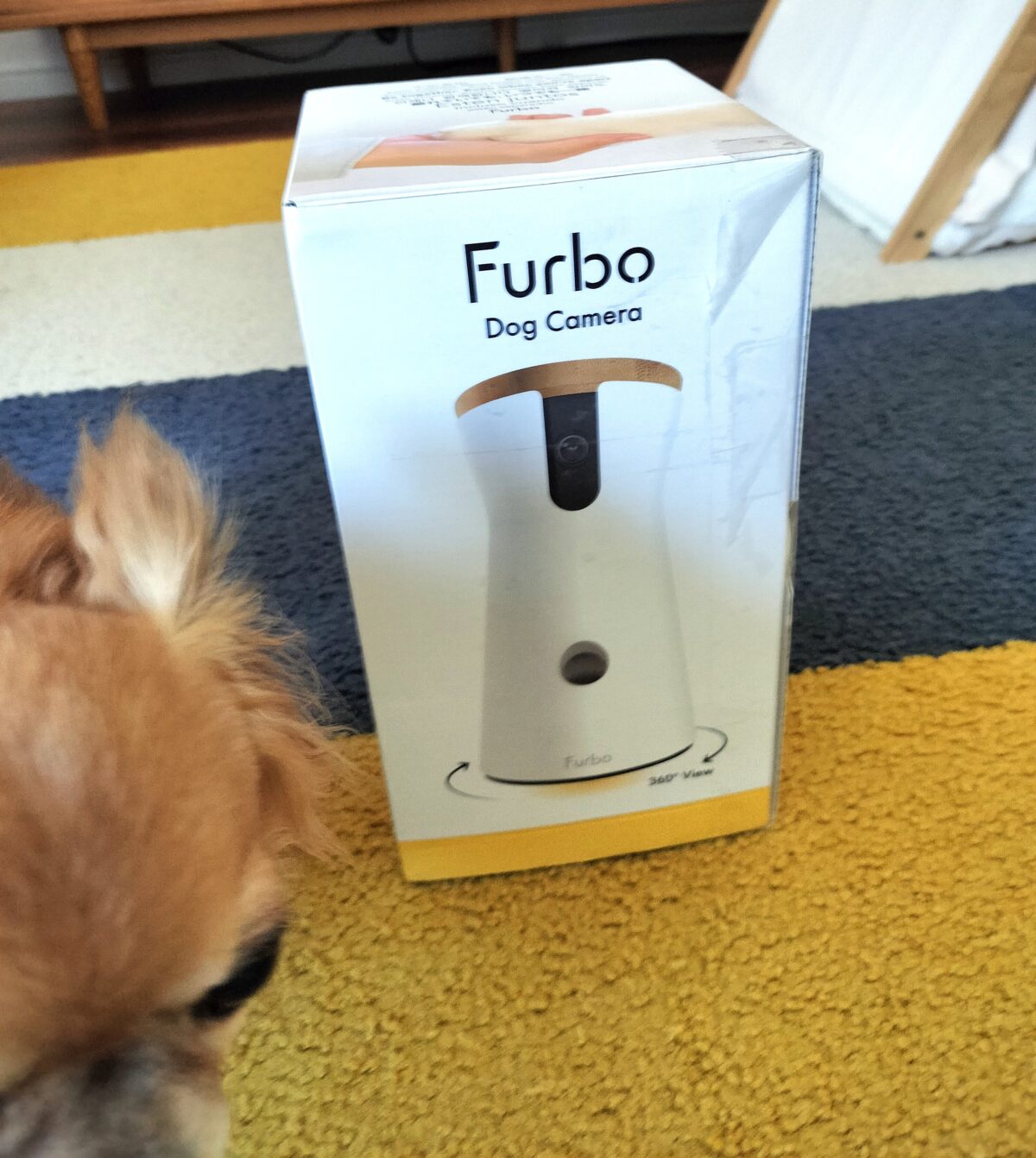 【口コミ＆レビュー】Furbo（ファーボ）ドッグカメラを共働き家庭で使ってわかったメリット・デメリット | ラテまるブログ